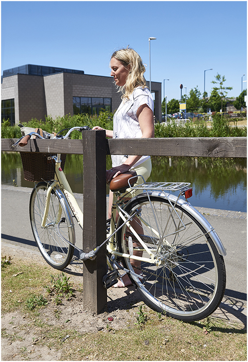 Yale YCC1 Standard Combination Cable Lock | Combination Bike Lock ...